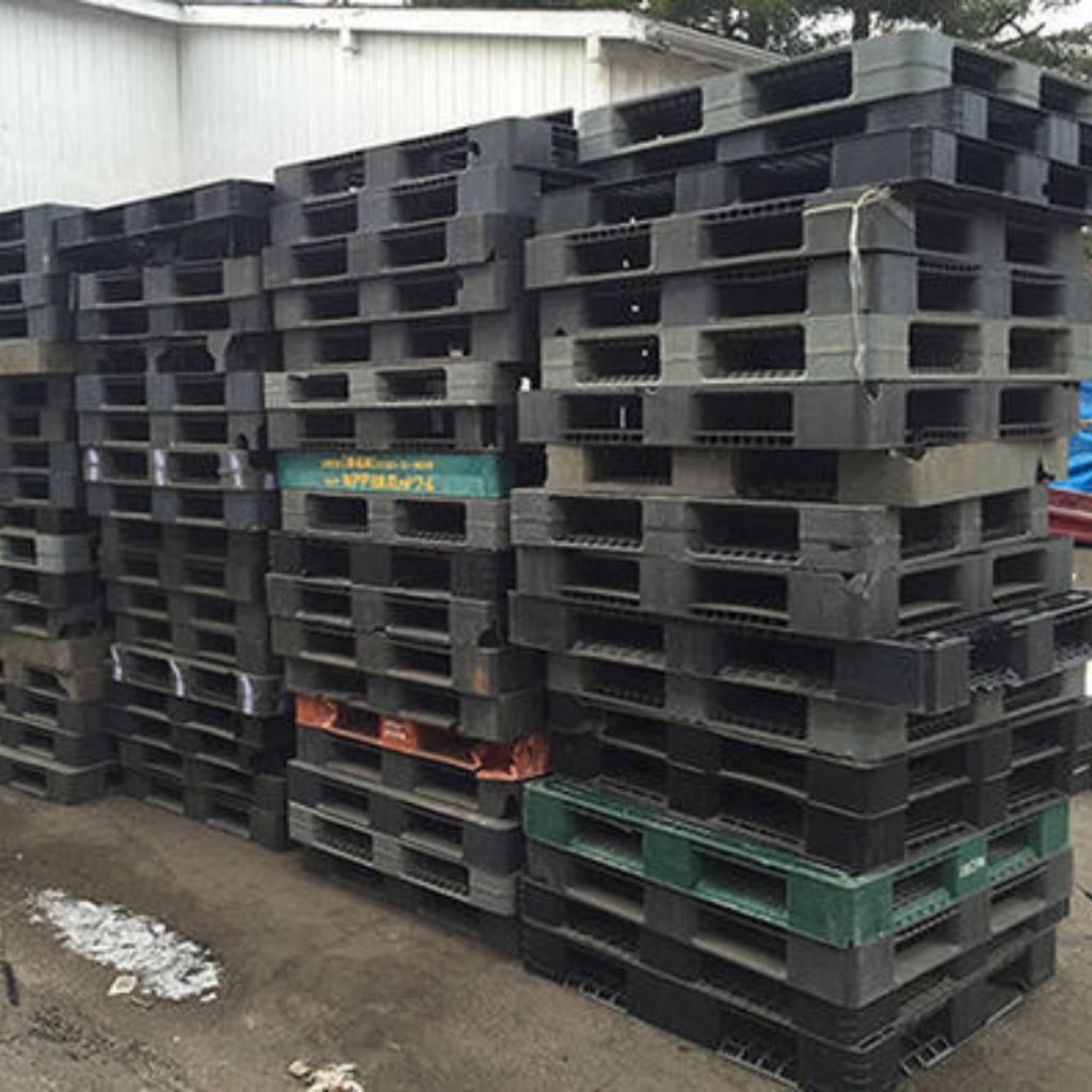 Used Recycled Plastic Pallets 52x43 – Aira Enterprises